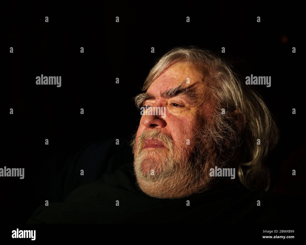 Low key male portrait Stock Photo - Alamy