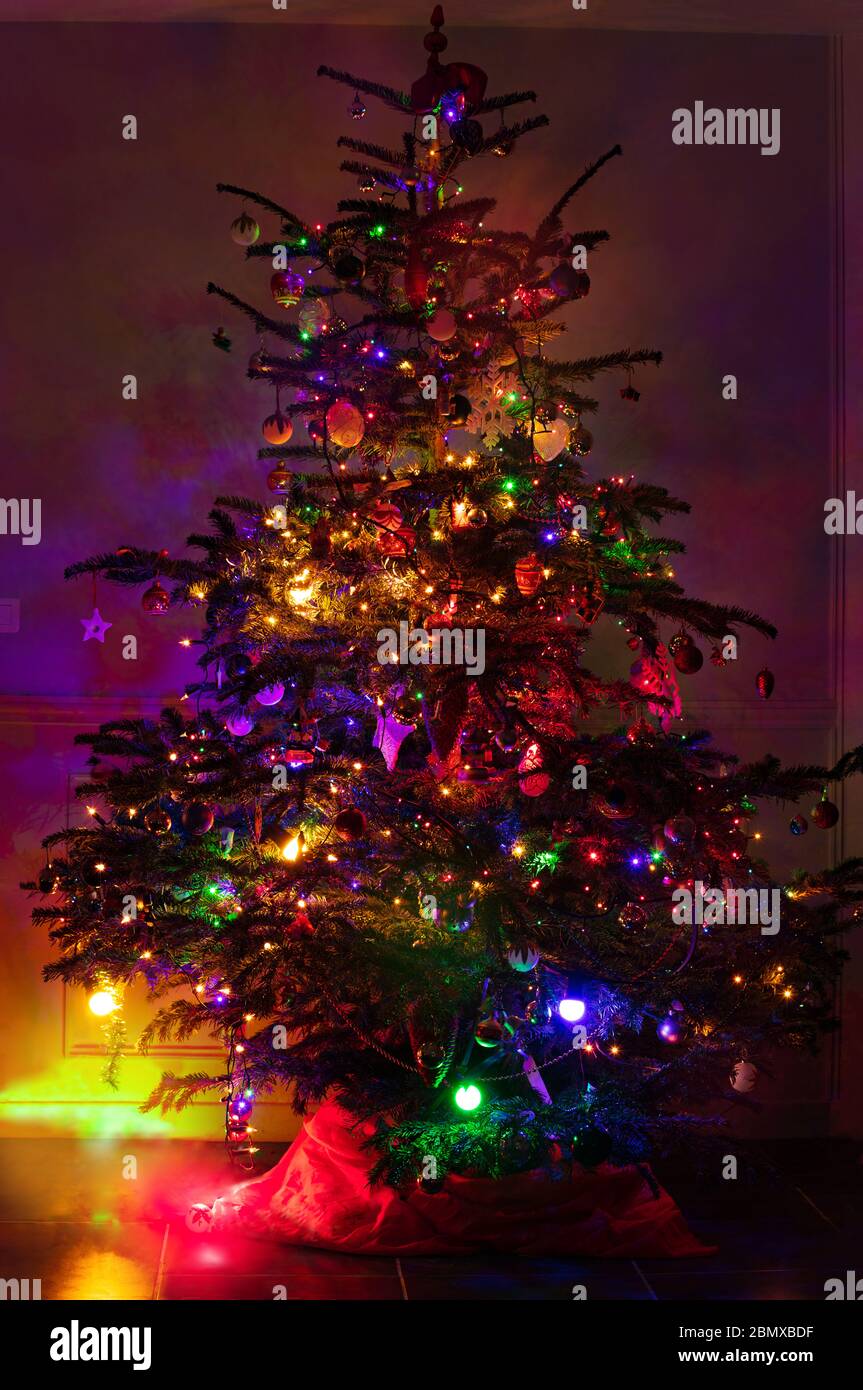 Illuminated Christmas tree in different color lights at night Stock ...
