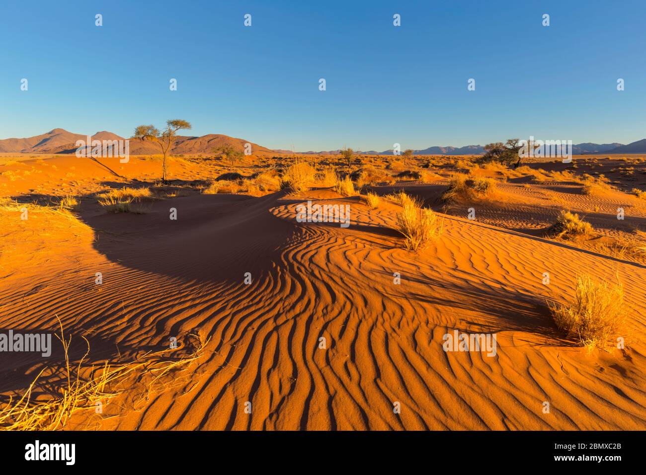Wind swept patterns on the dune Stock Photo - Alamy