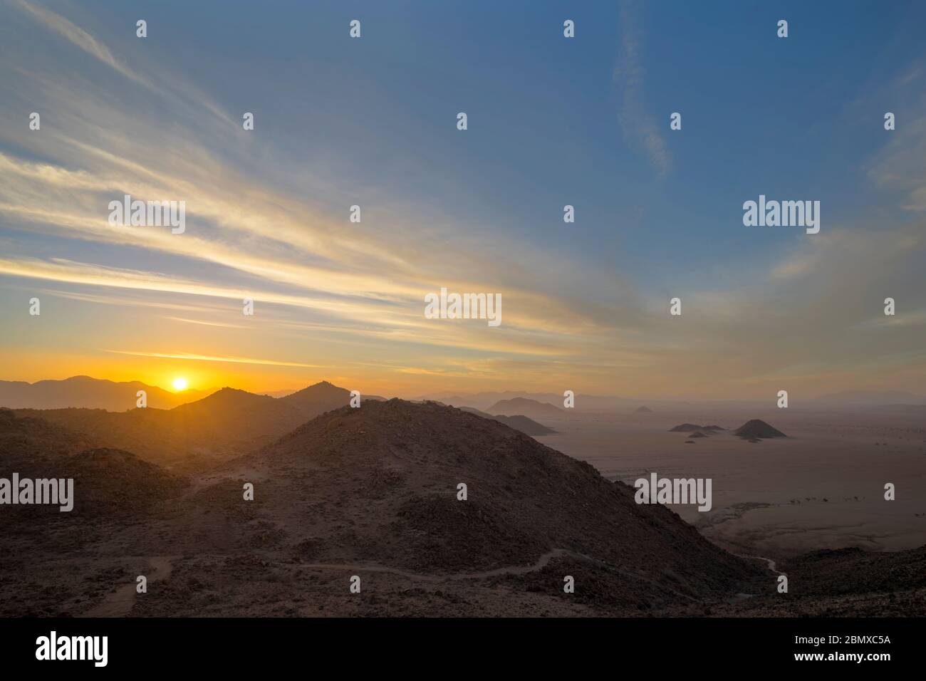 Wind swept tree landscape hi-res stock photography and images - Alamy