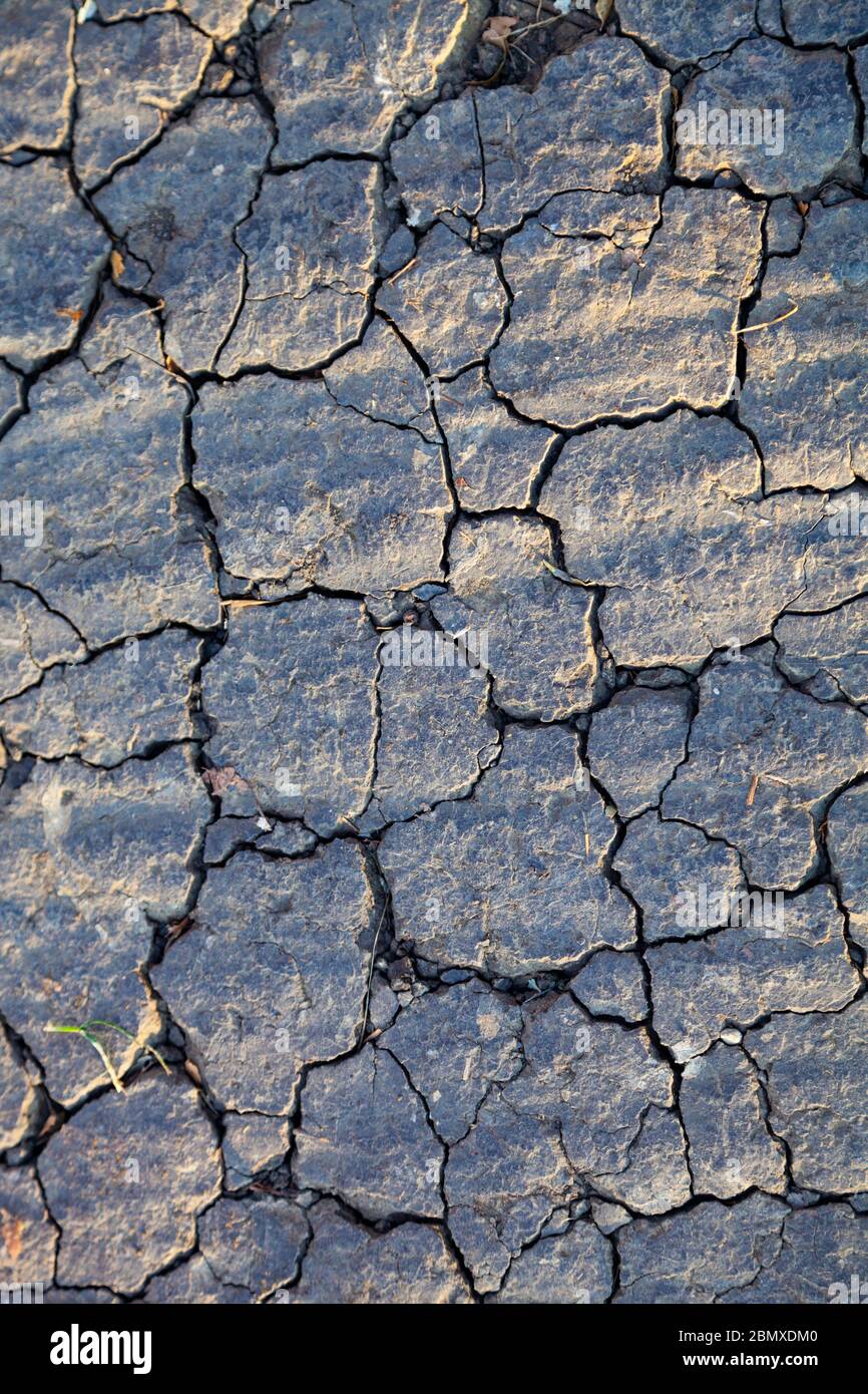Dry gray ground close up. Natural background Stock Photo - Alamy