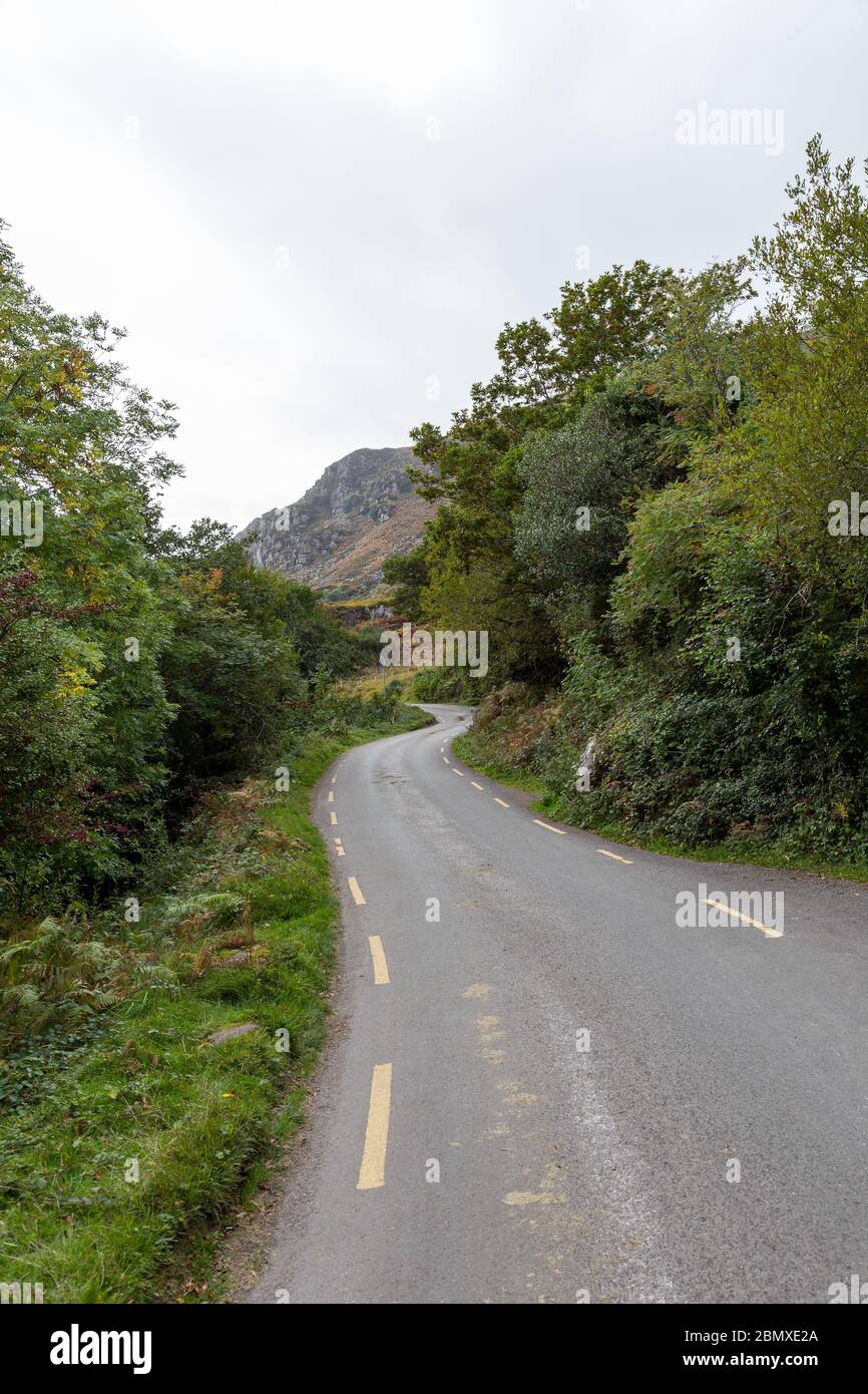 Killarney national park and drive hi-res stock photography and images ...