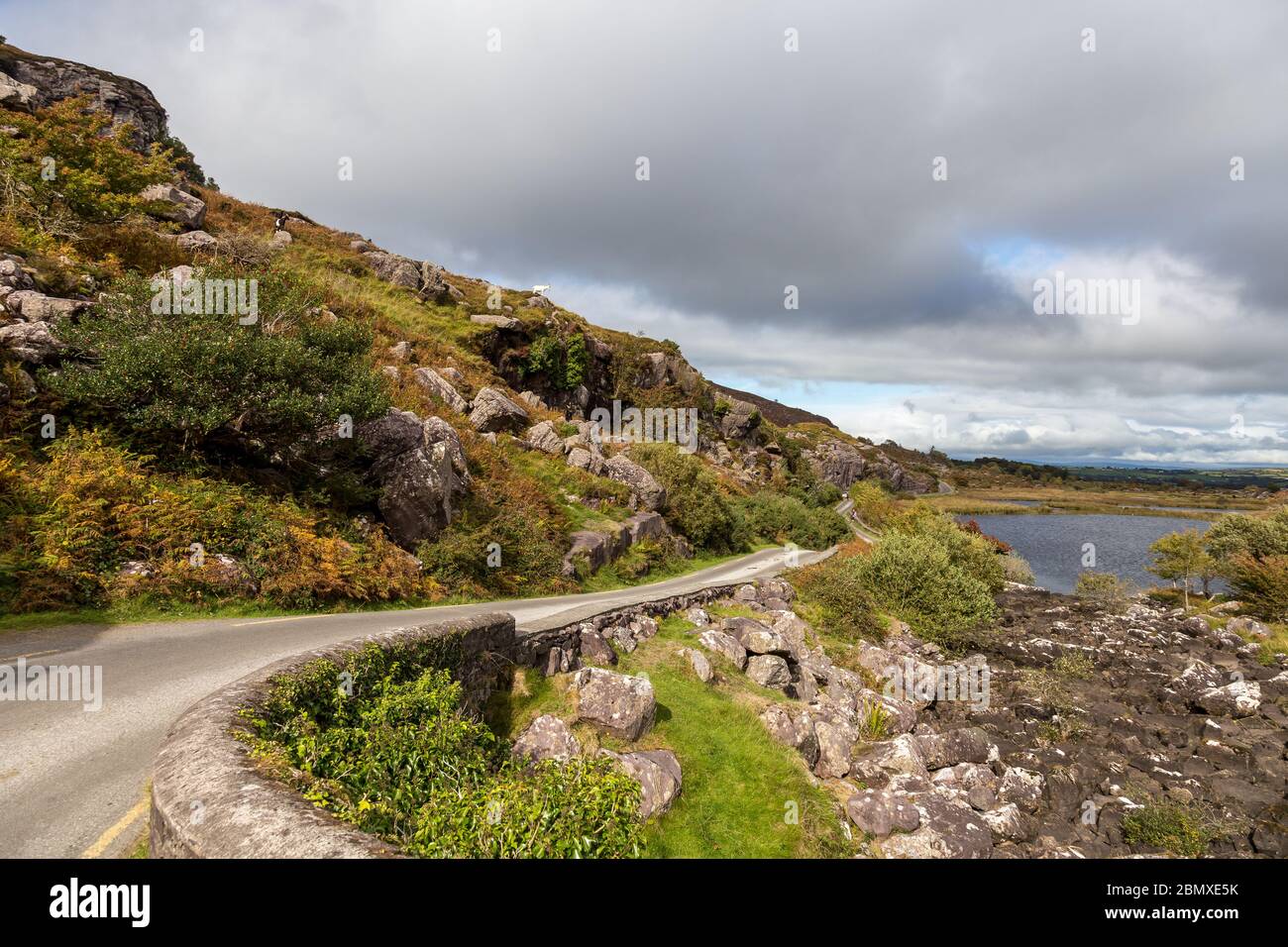 A path in the Gap of Dunloe Stock Photo - Alamy