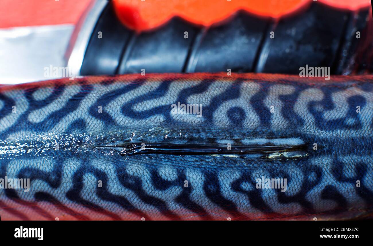 Food patterns hi-res stock photography and images - Alamy