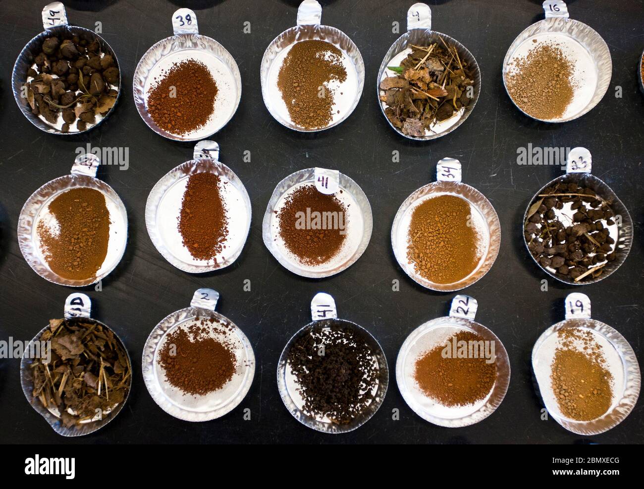 Different Types Of Soil With Names