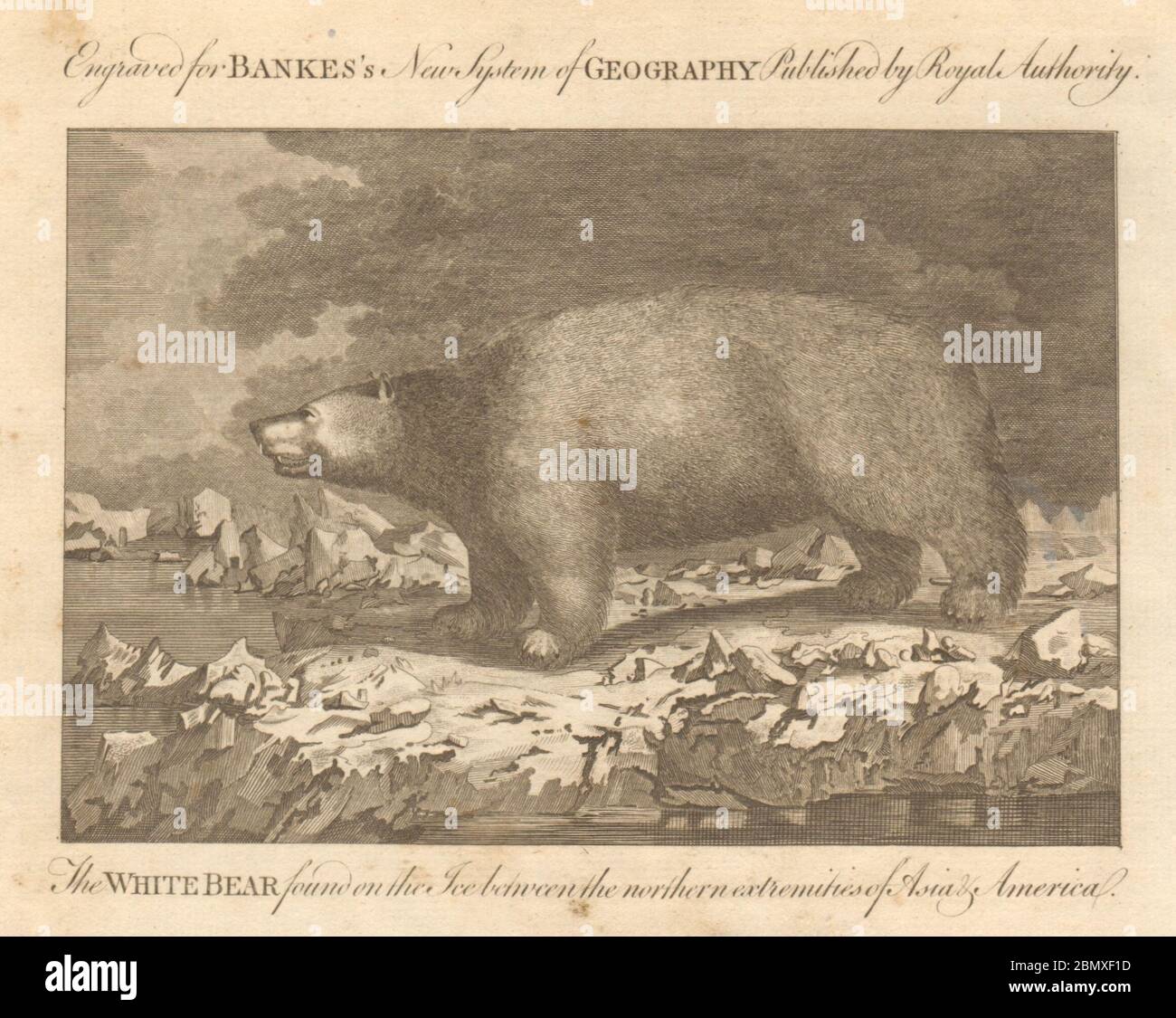 Bering strait and america hi-res stock photography and images - Alamy