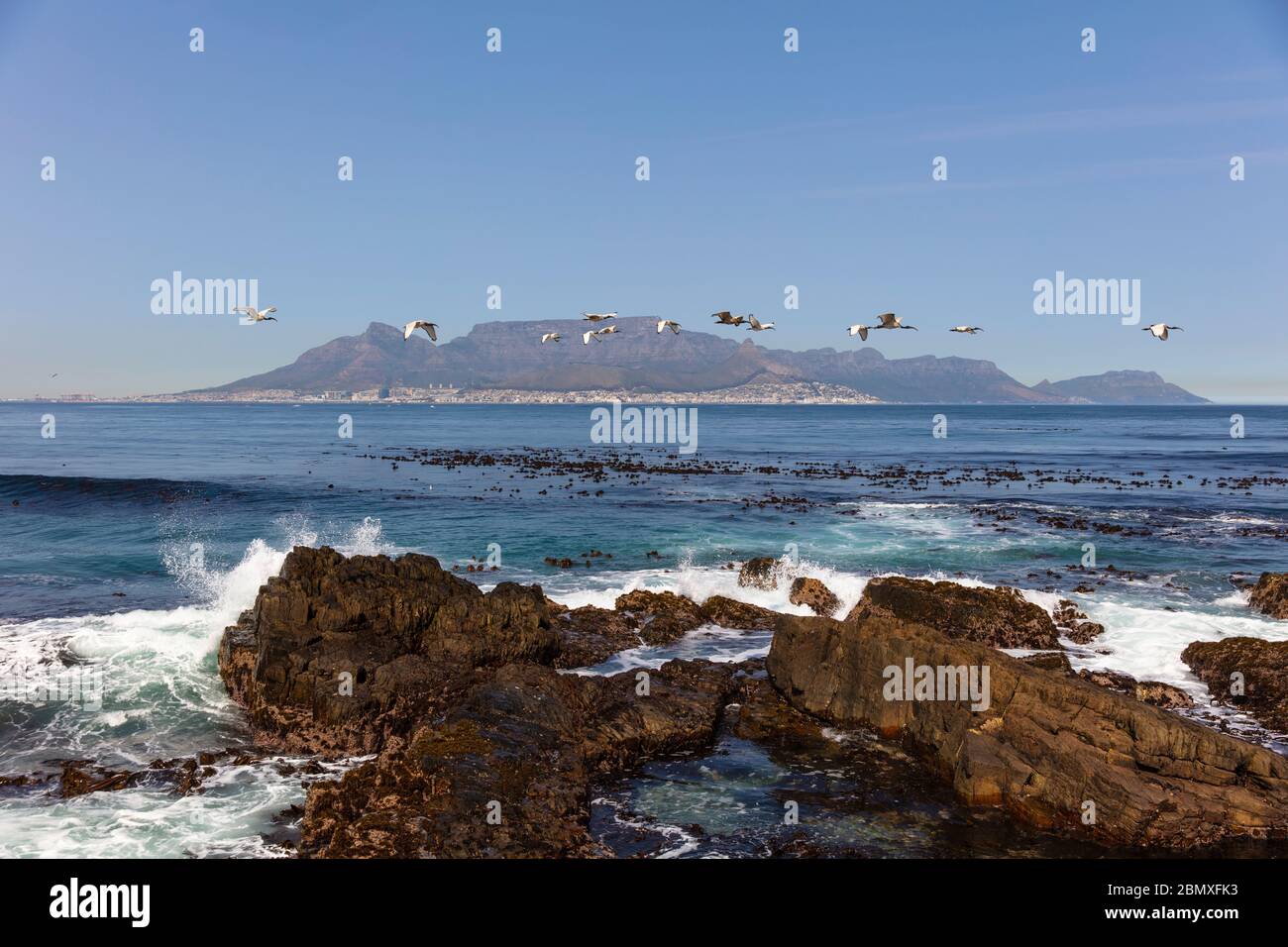 Table Mountain from Robben Island Prison, Cape Town, South Africa Stock ...