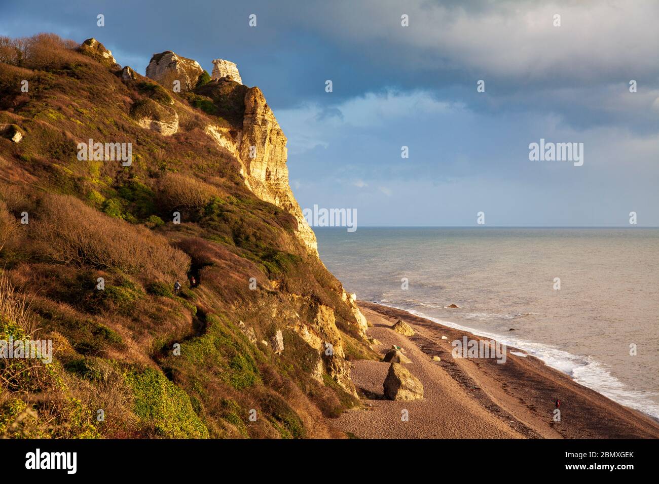 Hooken landslip and beach on the Jurassic Coast in the late afternoon ...
