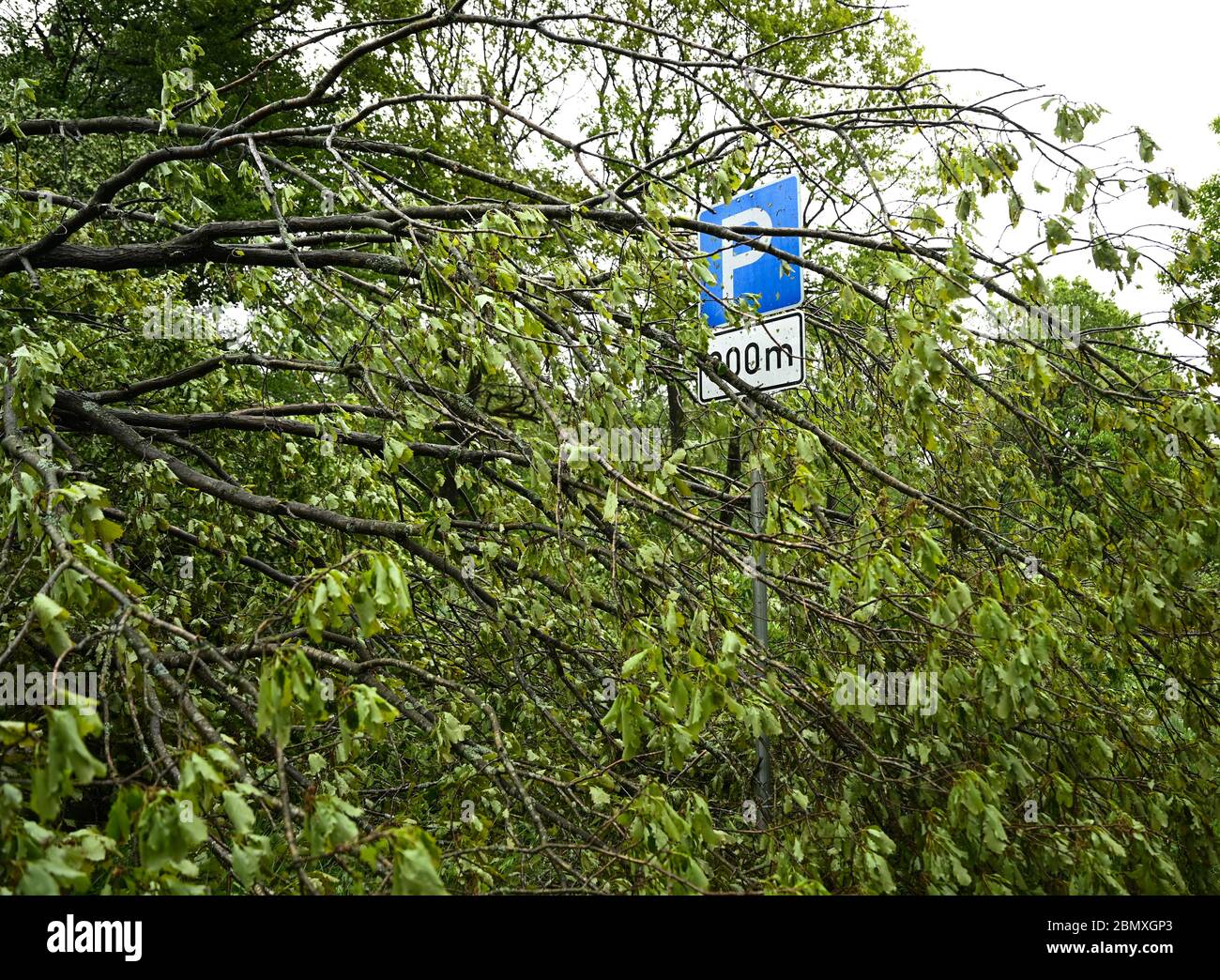 11 May 2020, Hessen, Königstein: A traffic sign can be seen on the ...