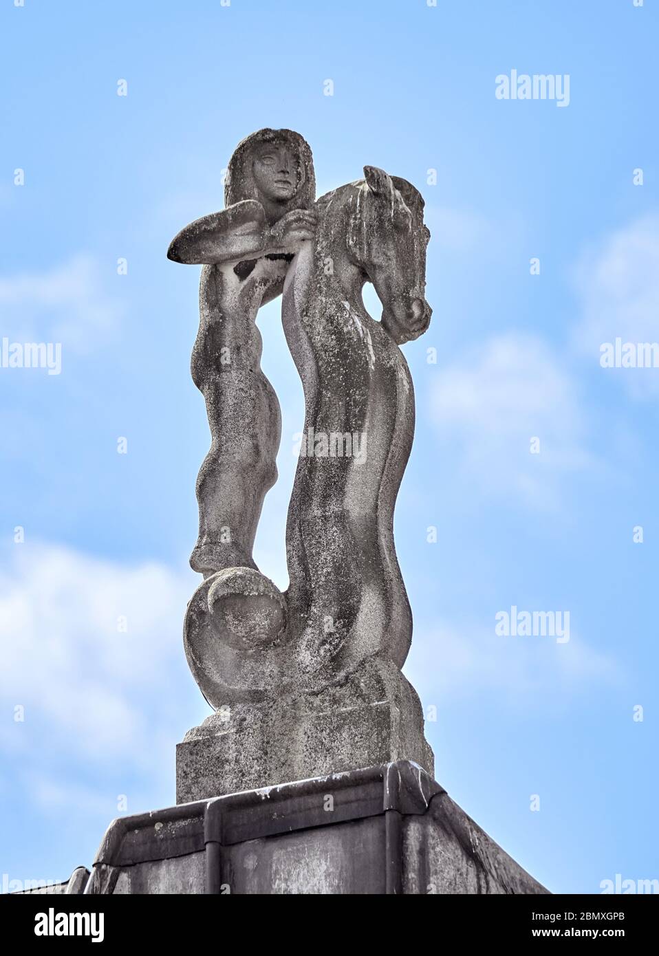 Seahorses hi-res stock photography and images - Alamy