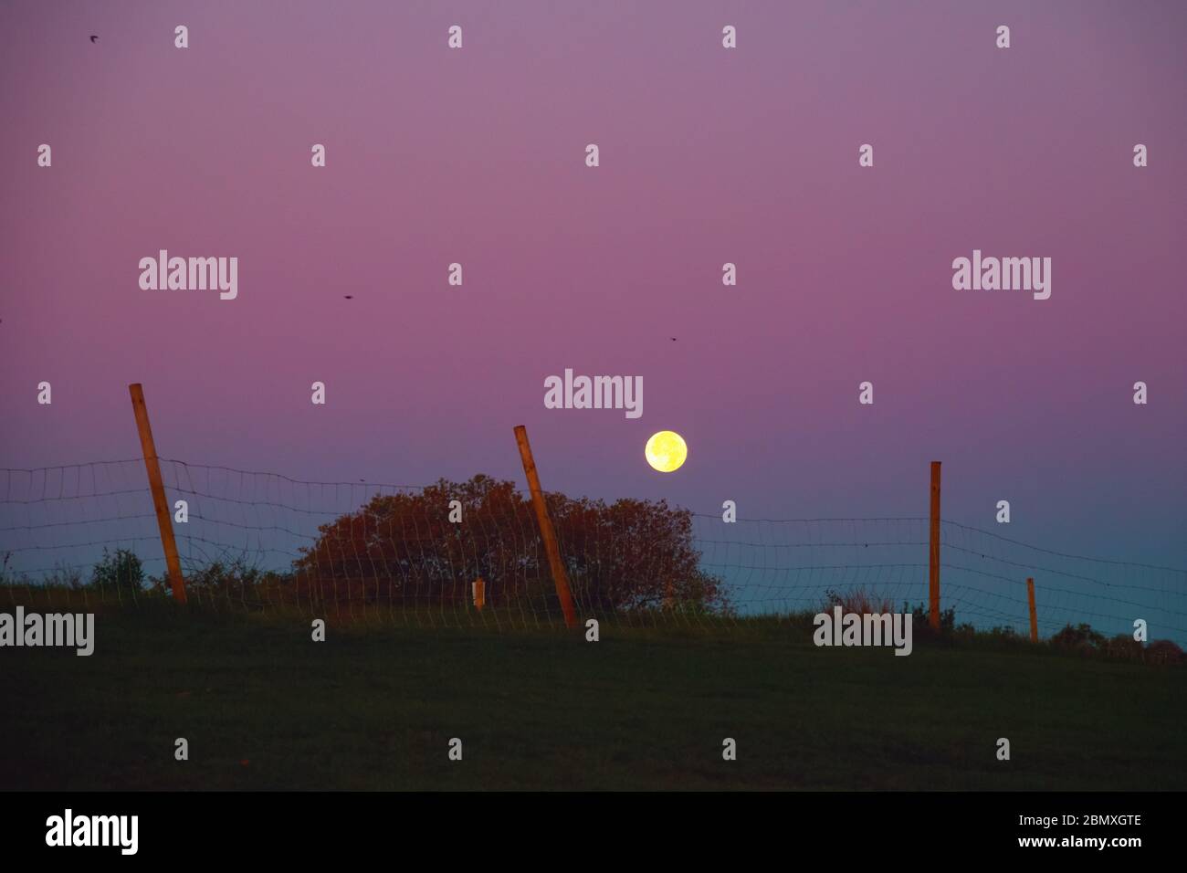 Moon parliament hill london hi-res stock photography and images - Alamy