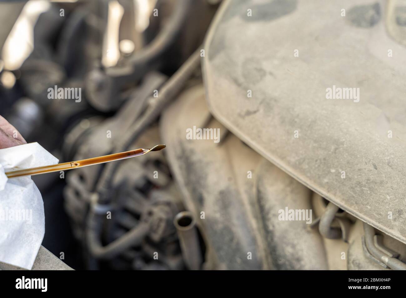Auto mechanic works in the garage. Check engine oil level. oil dipstick Stock Photo - Alamy