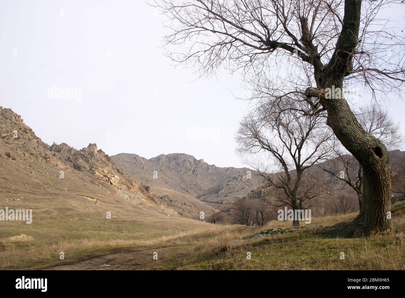 Landscape in the Macin Mountains National Park in Dobrogea, Romania ...