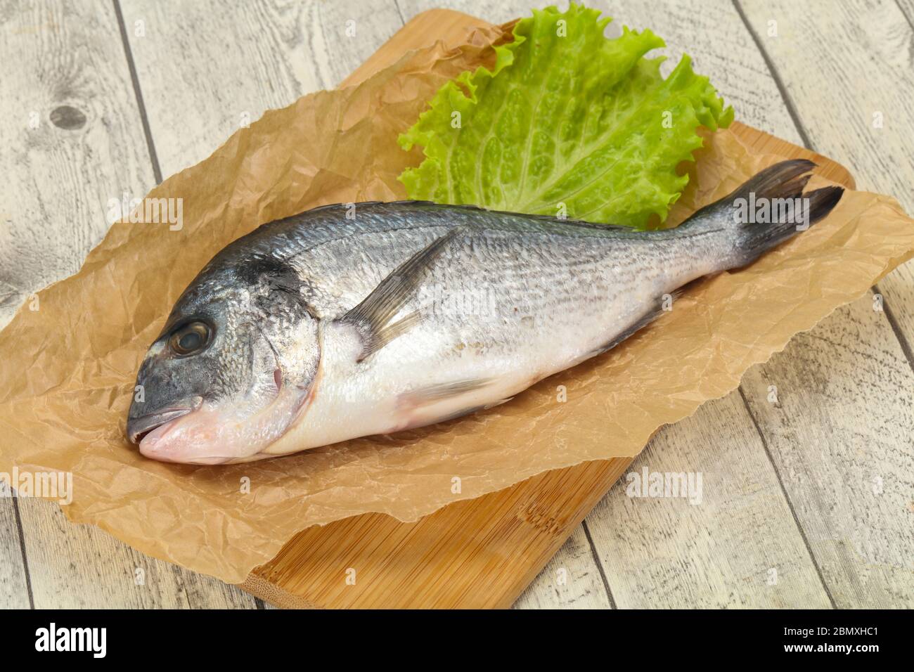 Raw Dorada fish ready for cooking Stock Photo - Alamy