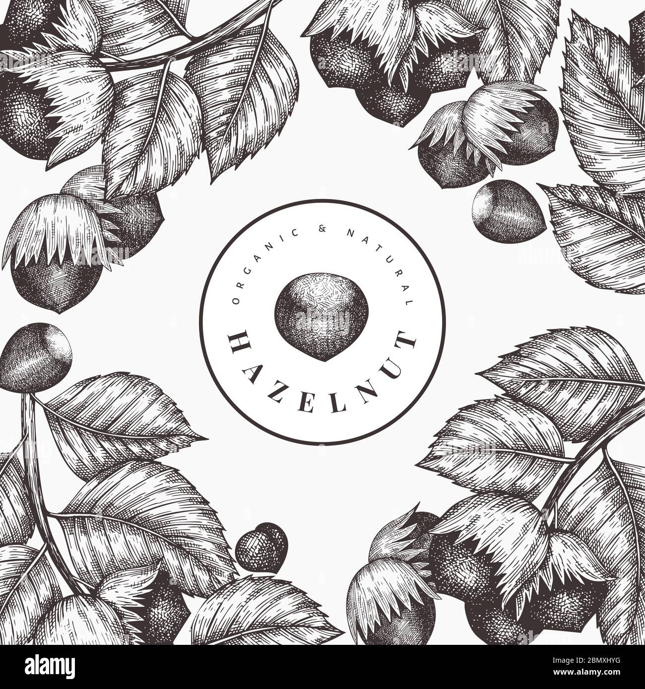 Hand drawn sketch hazelnut design template. Organic food vector ...