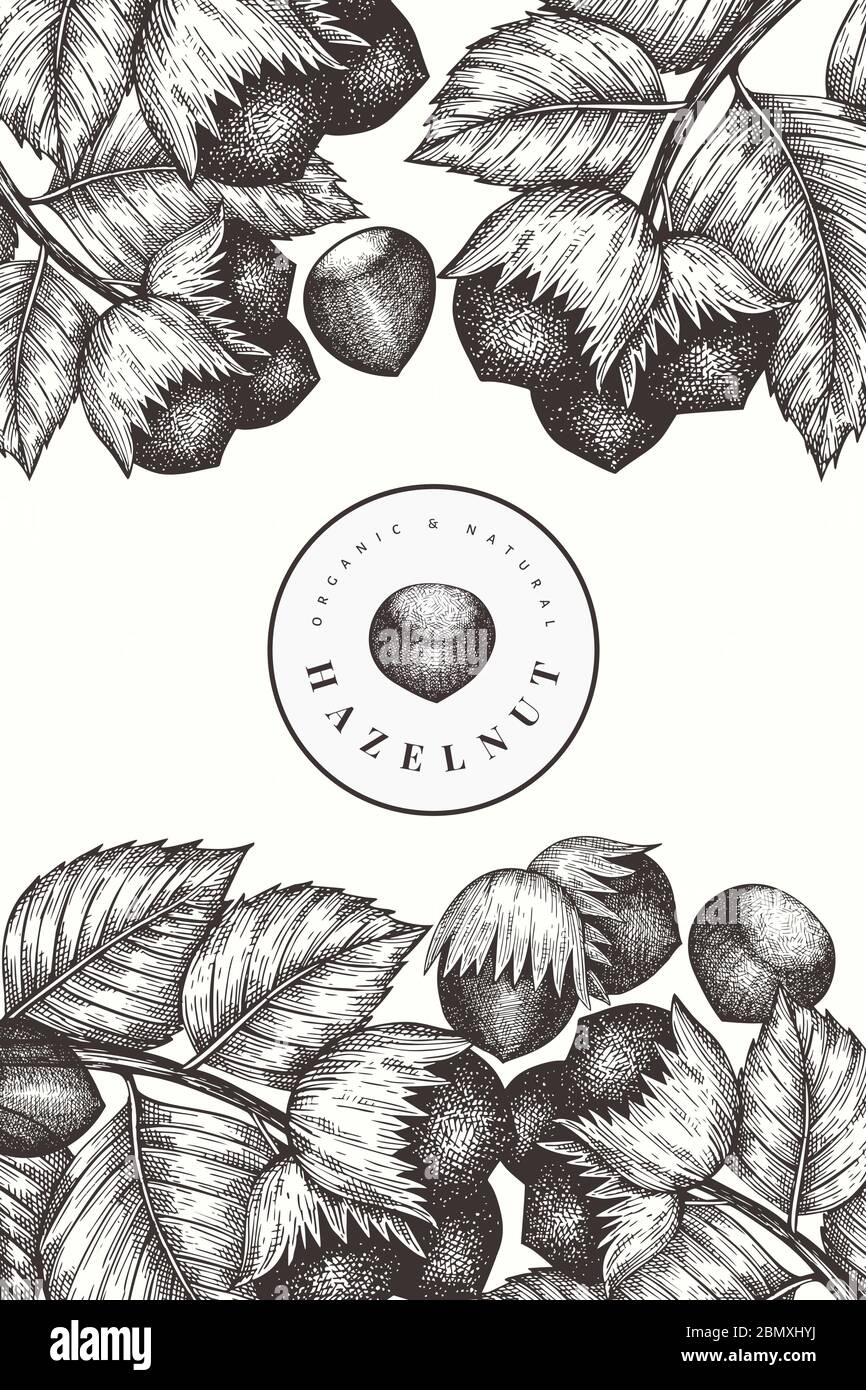 Hand drawn sketch hazelnut design template. Organic food vector ...