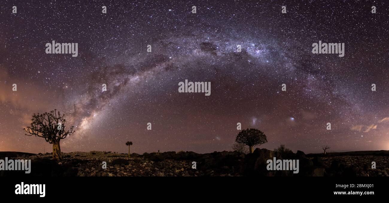 milky way stars and quiver tree's Stock Photo - Alamy