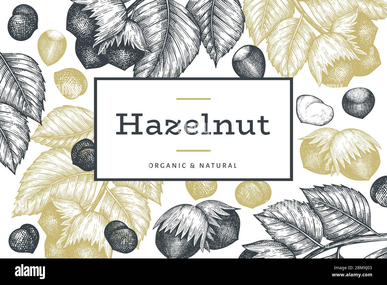 Hand drawn sketch hazelnut design template. Organic food vector ...