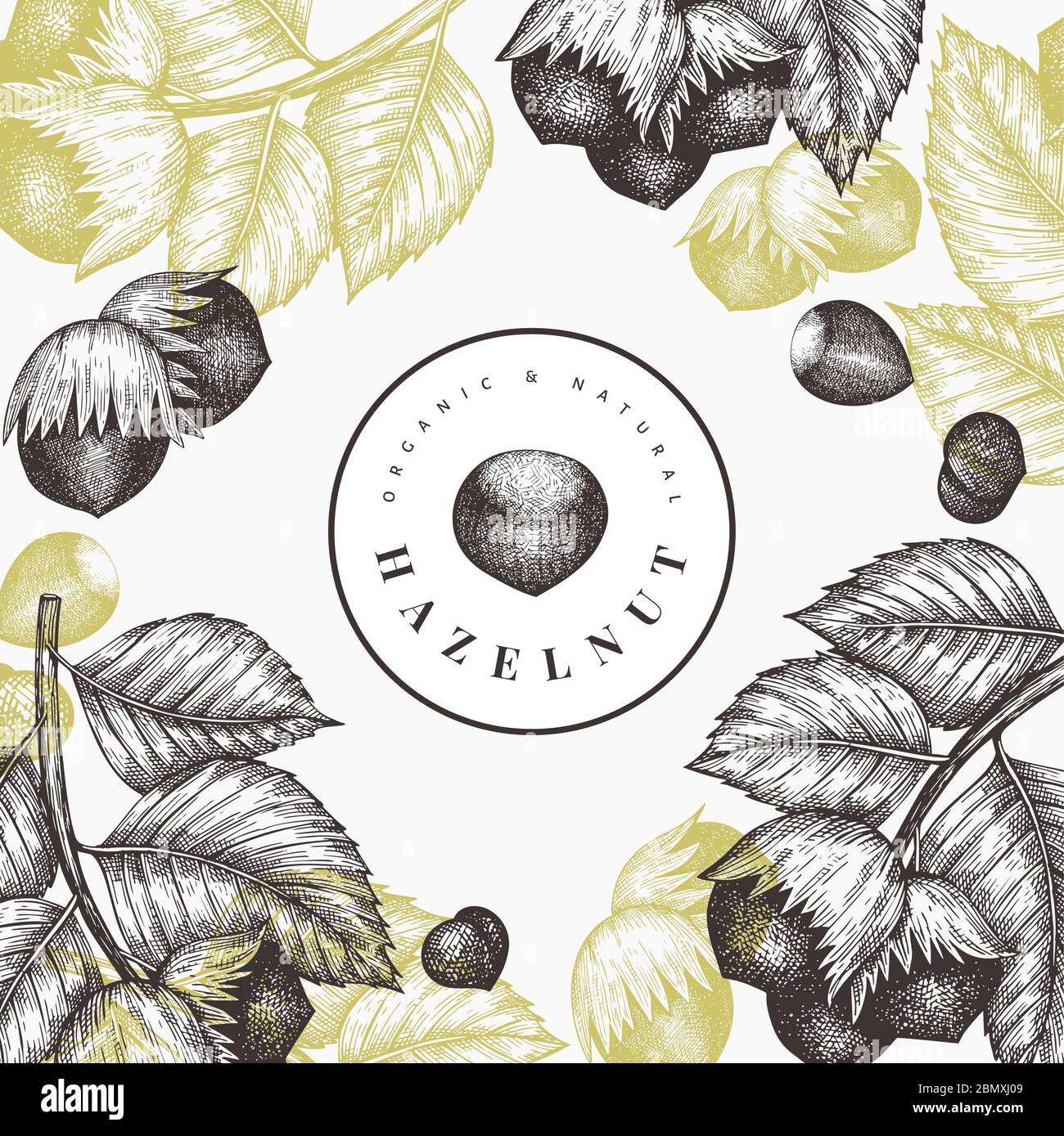 Hand drawn sketch hazelnut design template. Organic food vector ...