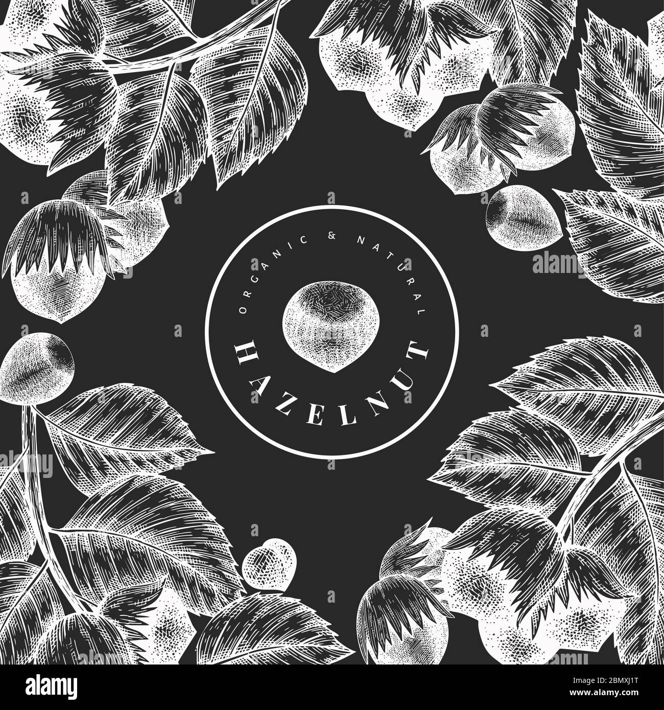 Hand drawn sketch hazelnut design template. Organic food vector ...