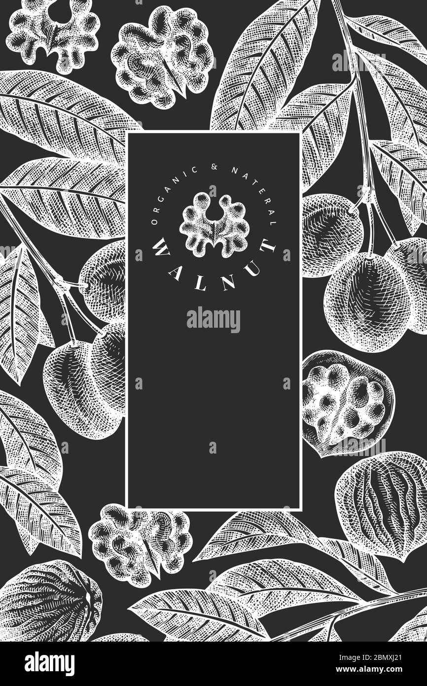Hand drawn sketch walnut design template. Organic food vector ...