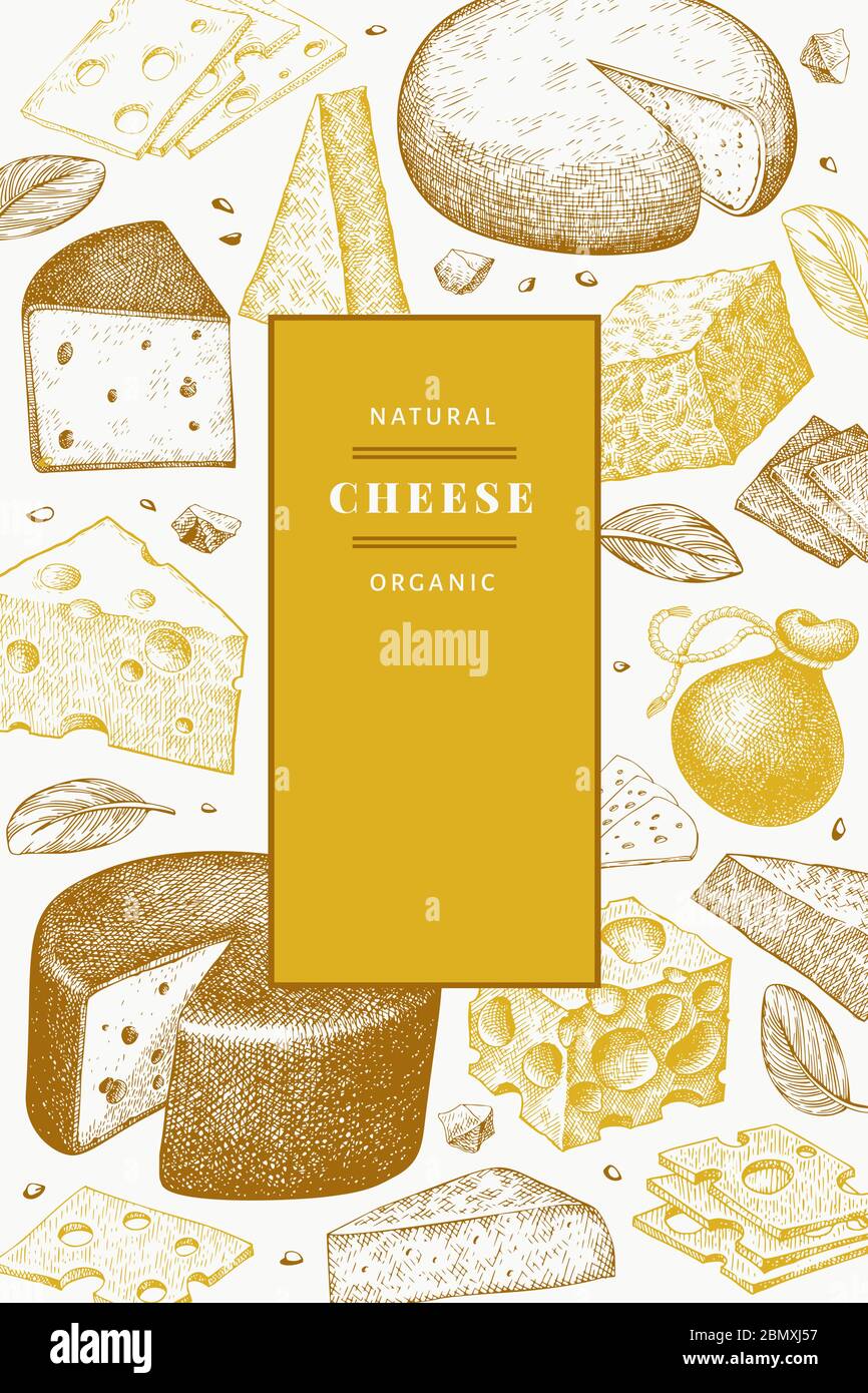 Cheese design template. Hand drawn vector dairy illustration. Engraved ...