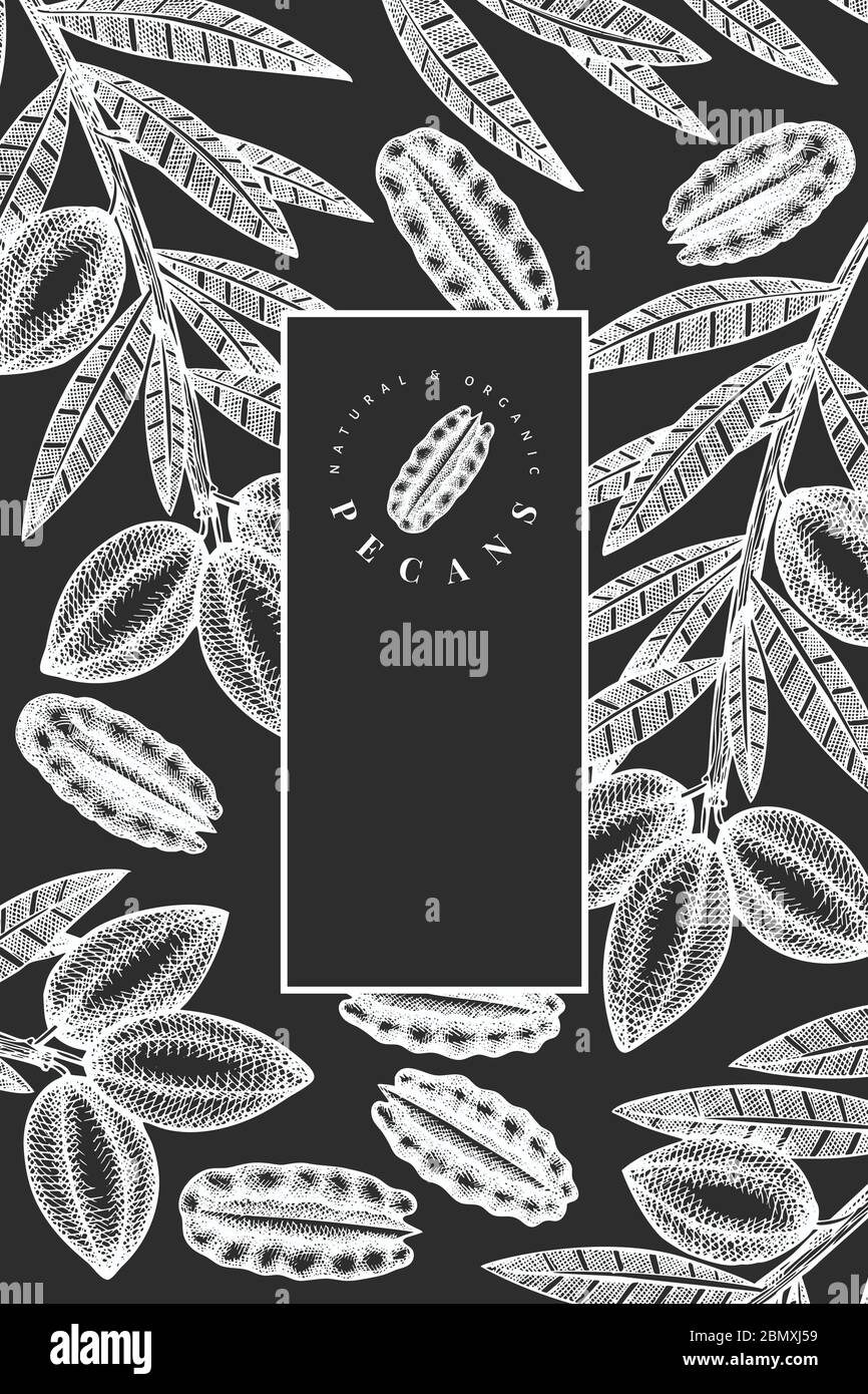 Hand drawn pecan branch and kernels design template. Organic food ...