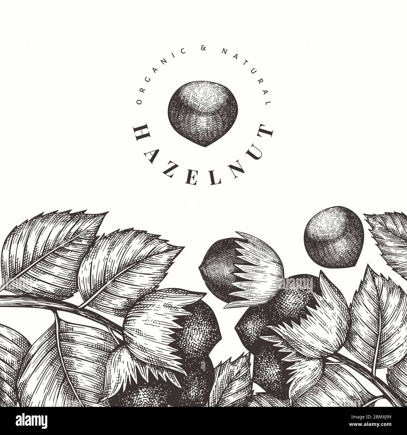 Hand drawn sketch hazelnut design template. Organic food vector ...
