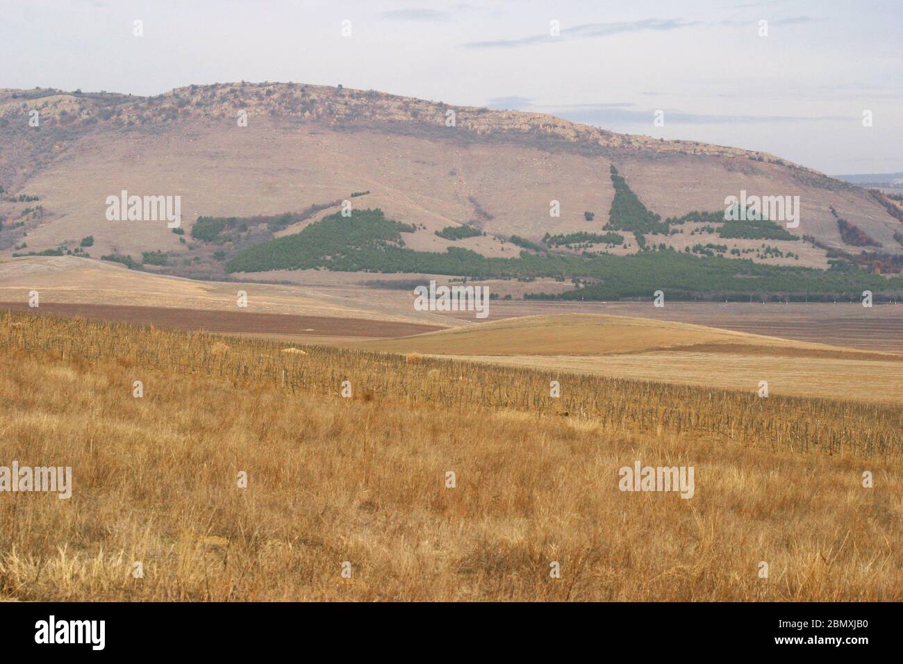 Dobrudja hi-res stock photography and images - Alamy