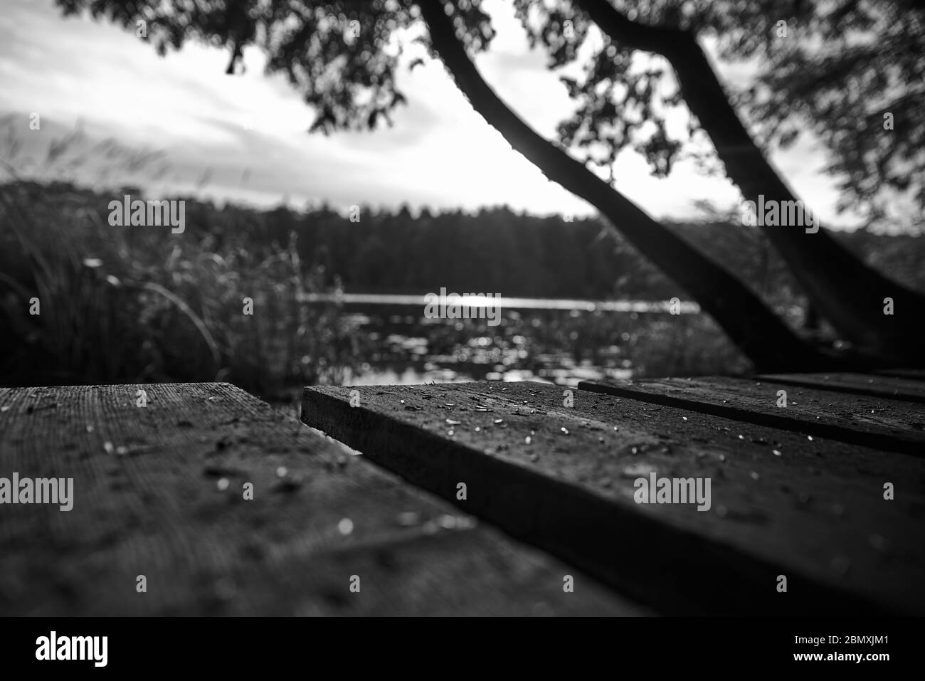 Enjoy trip Black and White Stock Photos & Images - Alamy