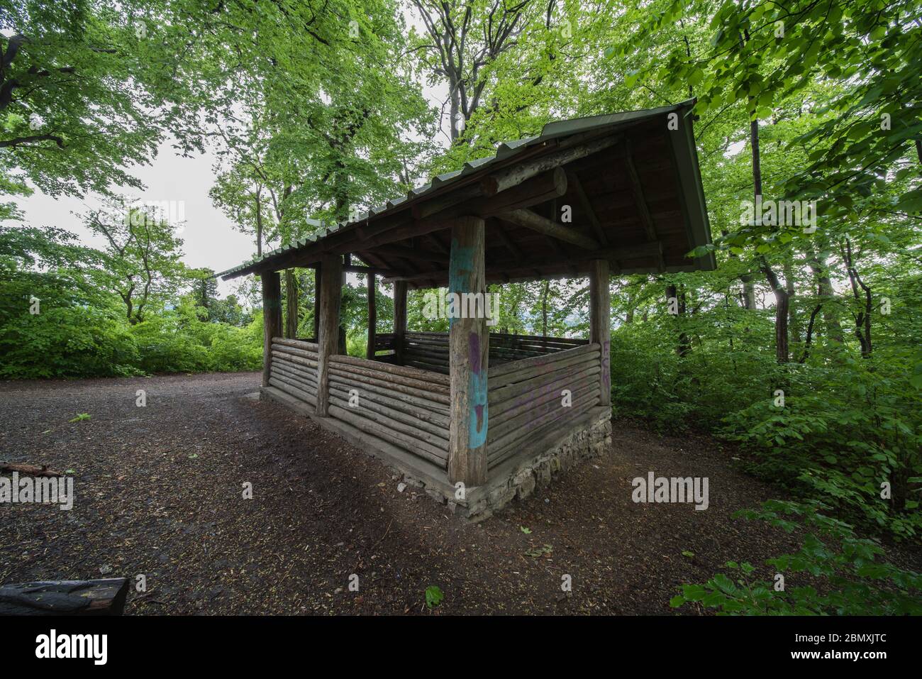 shelter hut in the forest Stock Photo - Alamy