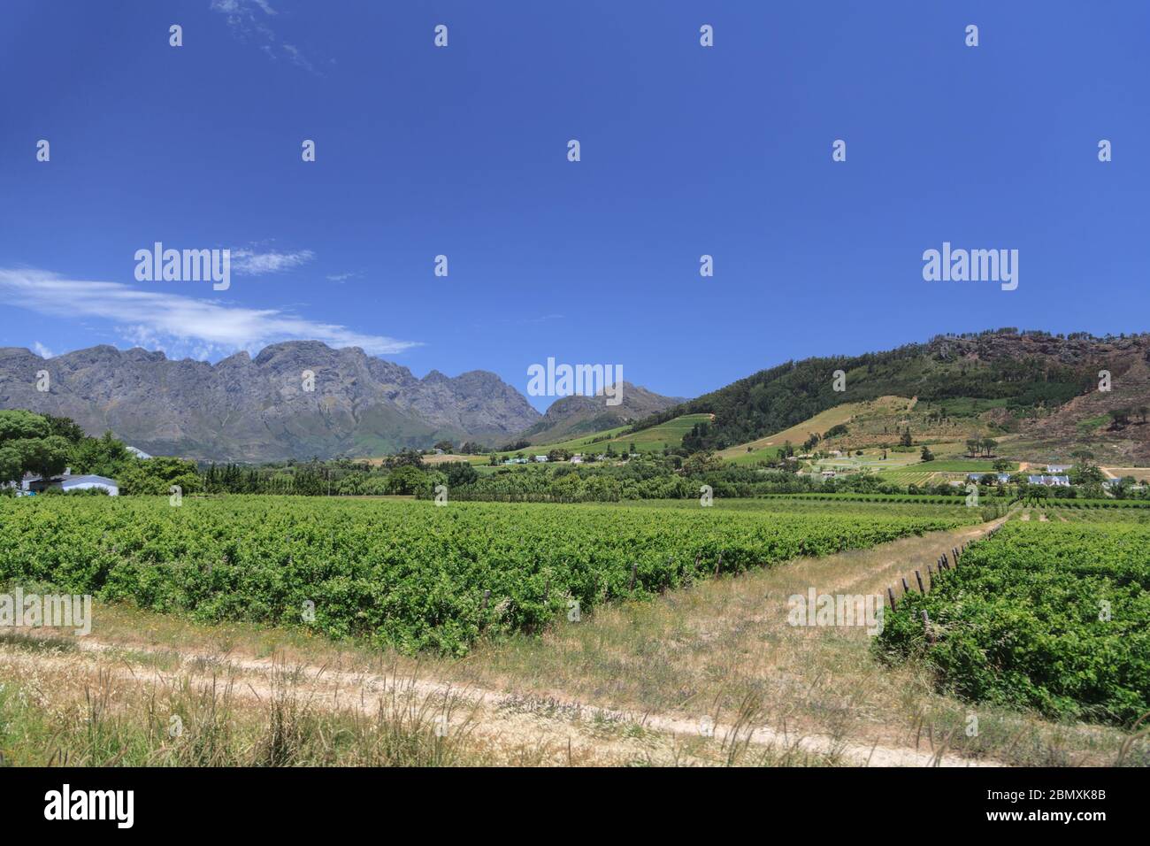 Vineyards and landscape near Franschhoek in the Cape Winelands, Western ...