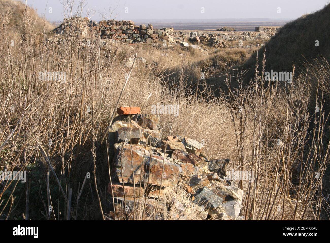 Geto dacian hi-res stock photography and images - Alamy