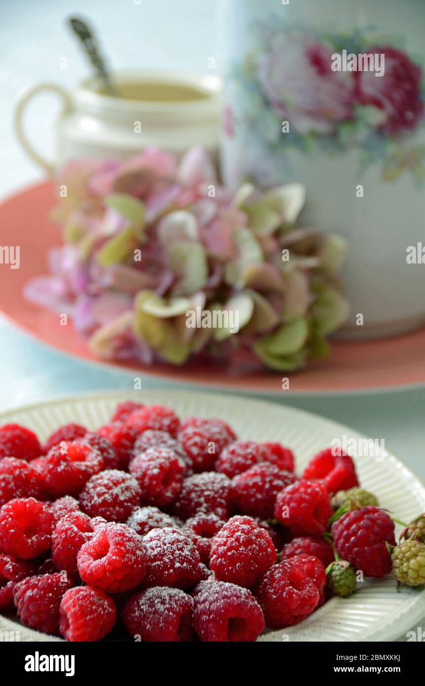 Freshly harvested raspberries with a pinch of sugar Stock Photo - Alamy