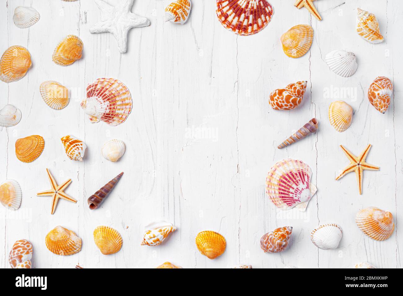 White wooden background with sea shells, copy space Stock Photo - Alamy