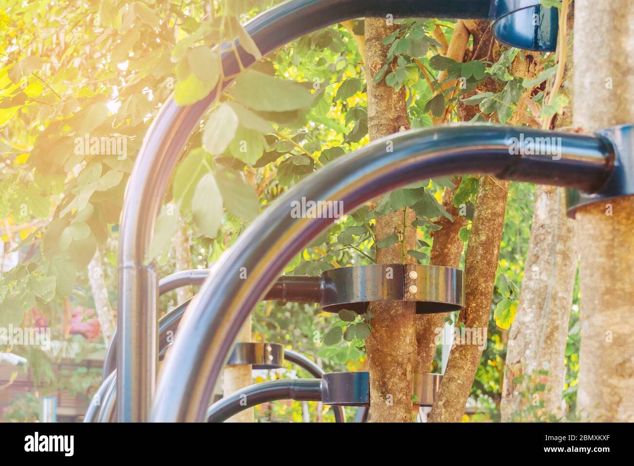 Black steel column supports and controls the branches and trunks of the ...