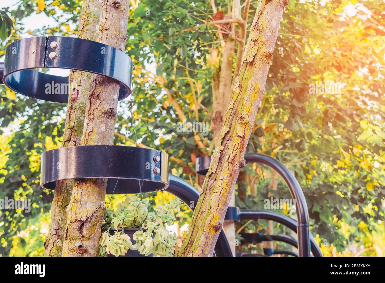 Trunk holders hi-res stock photography and images - Alamy