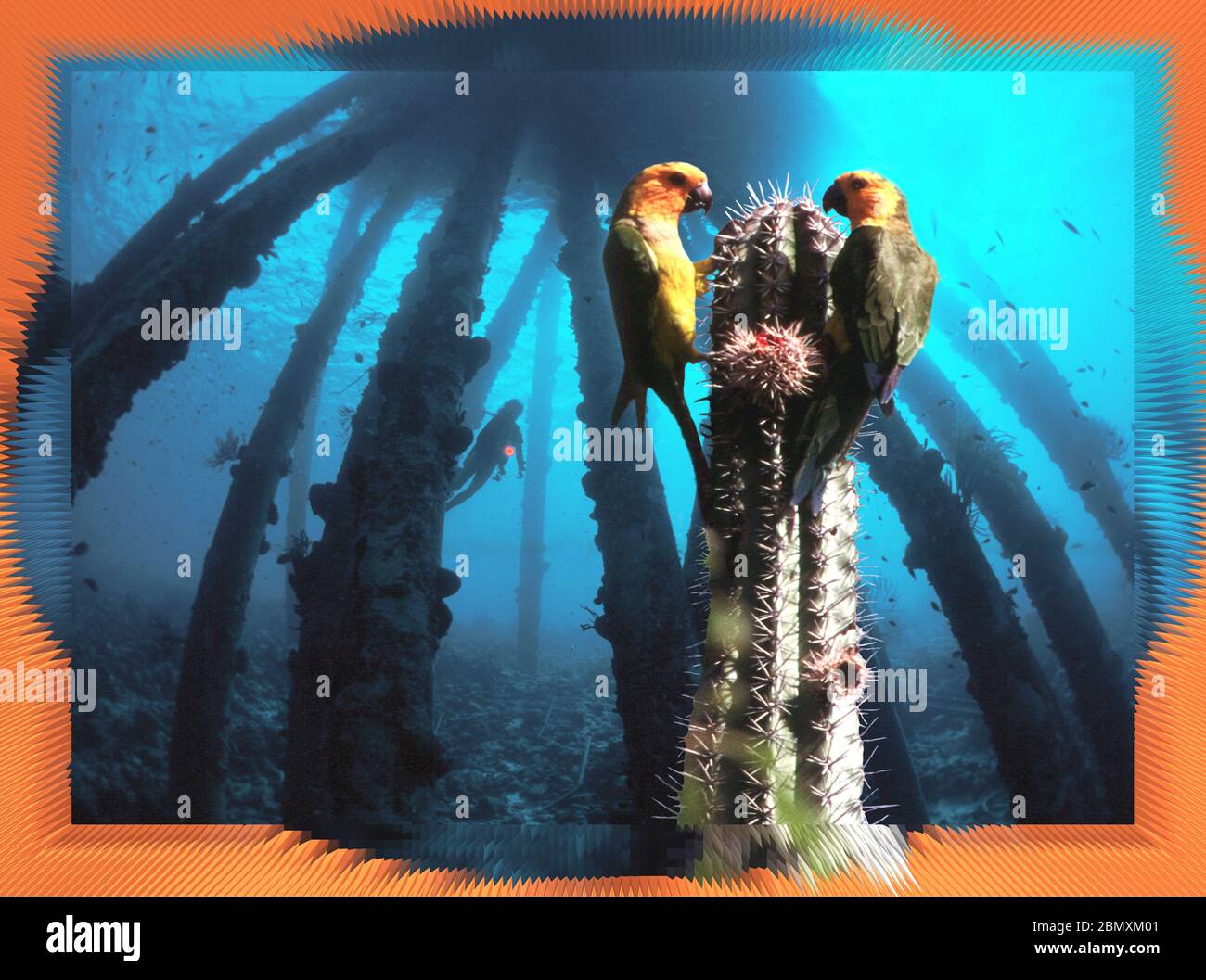 Art of two photos, land and underwater, layered unusual together, eye ...