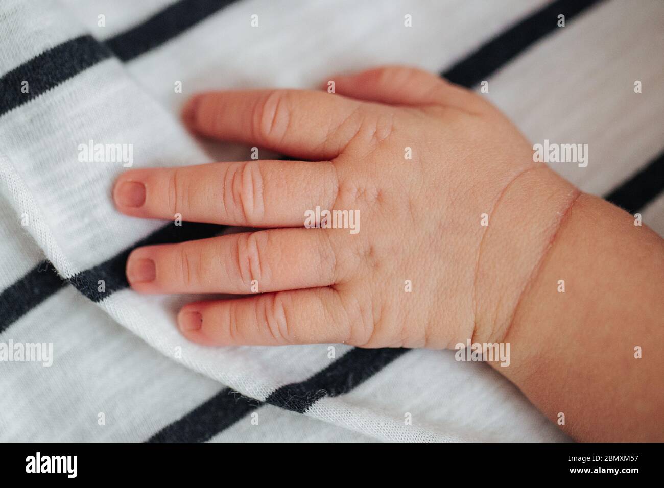 Gentle features hi-res stock photography and images - Alamy
