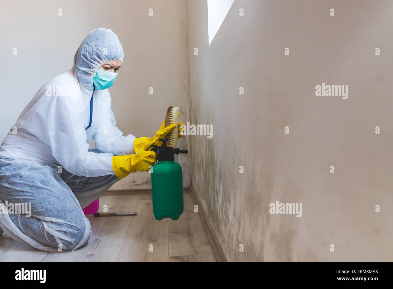 Female worker of cleaning service removes the mold using antimicrobial ... Female worker of cleaning service removes the mold using antimicrobial ...