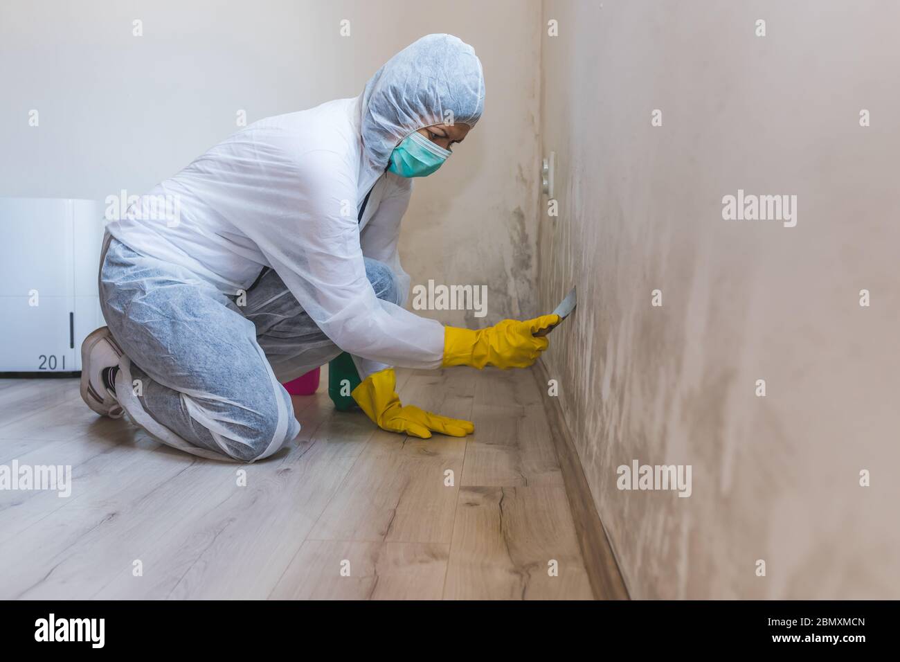 Female worker of cleaning service removes the mold using scraper tool ...