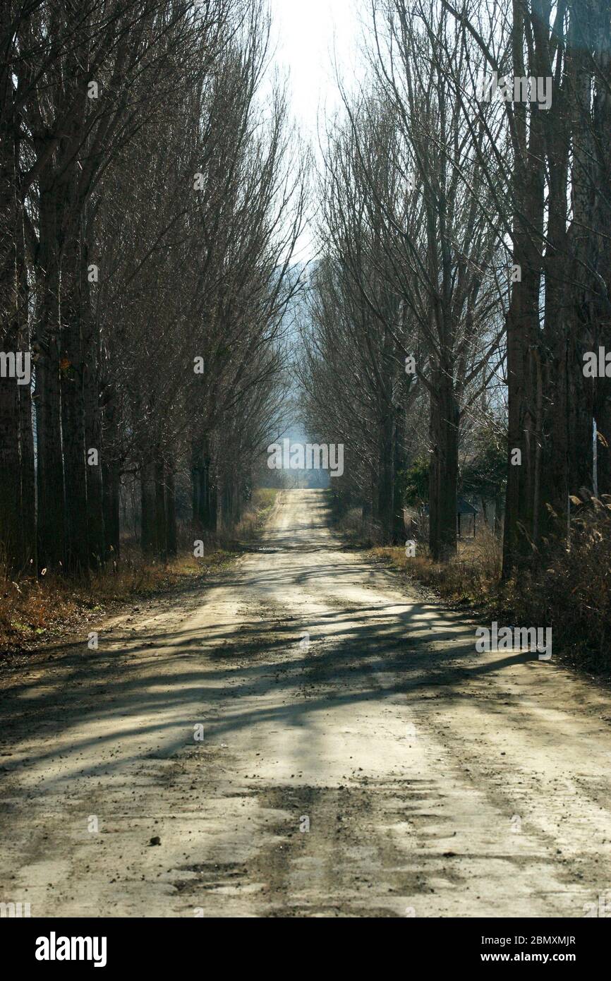 Bad roads hi-res stock photography and images - Alamy