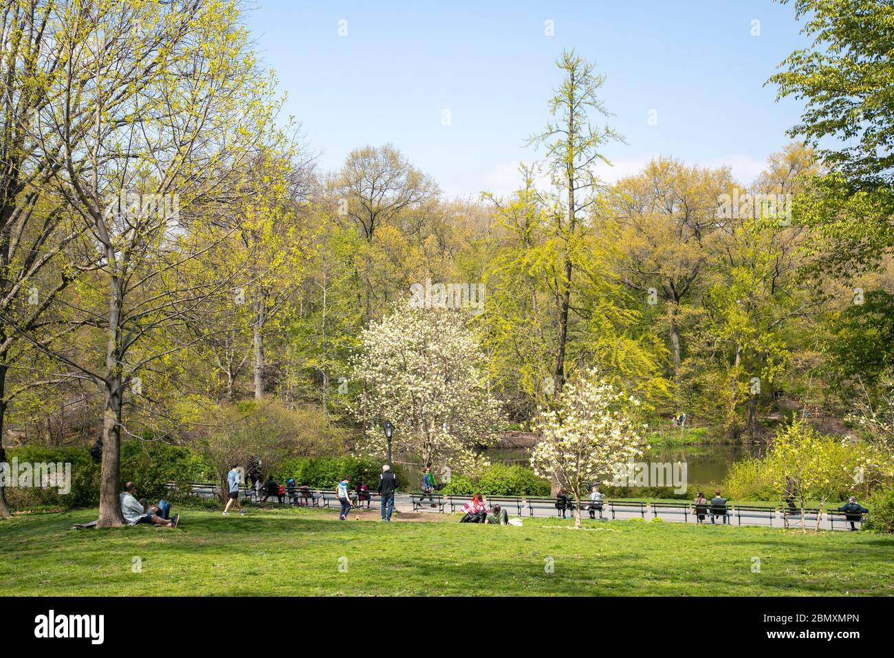 New york city in spring hi-res stock photography and images - Alamy