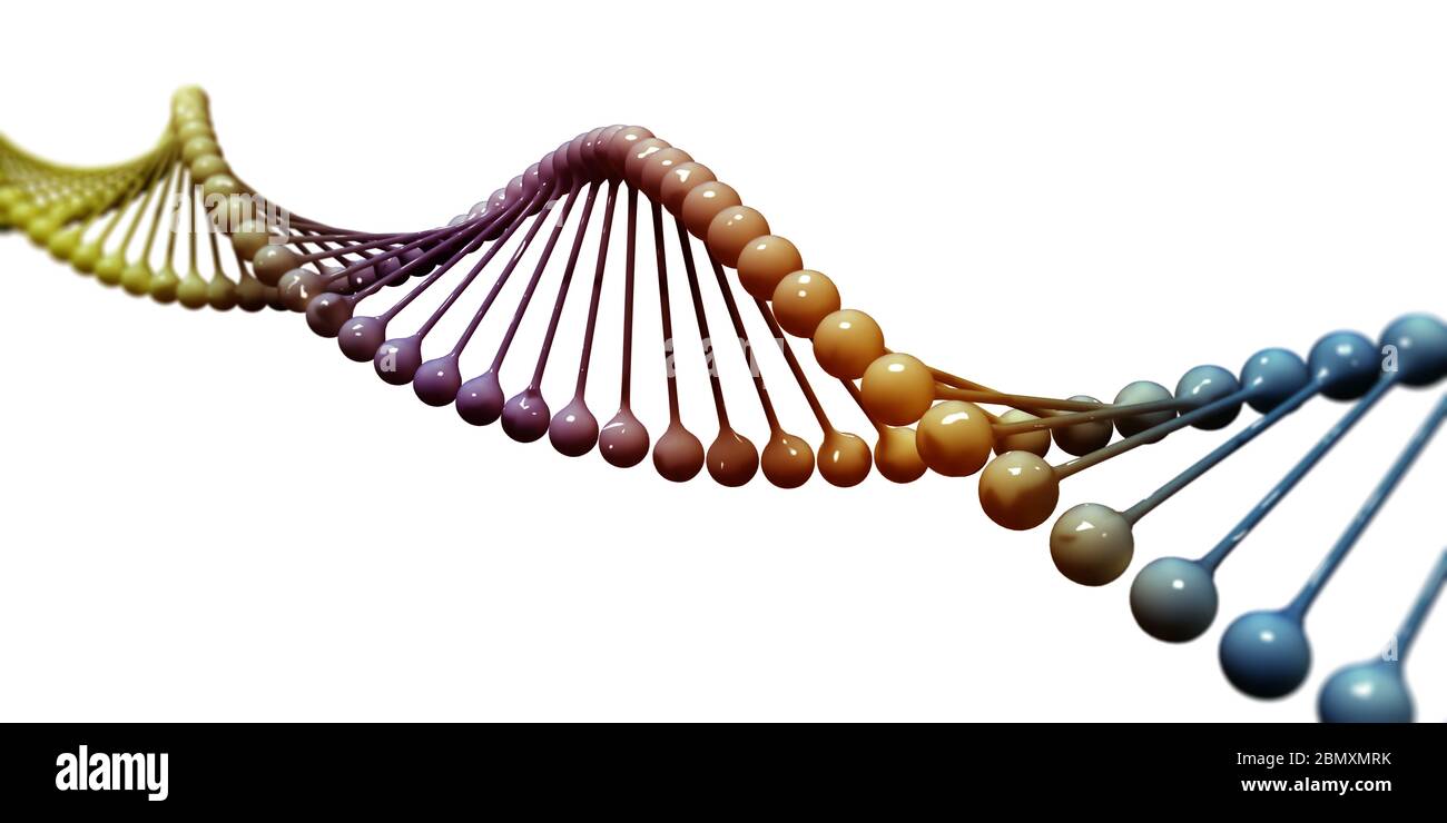 DNA multi color isolated on white background Stock Photo - Alamy