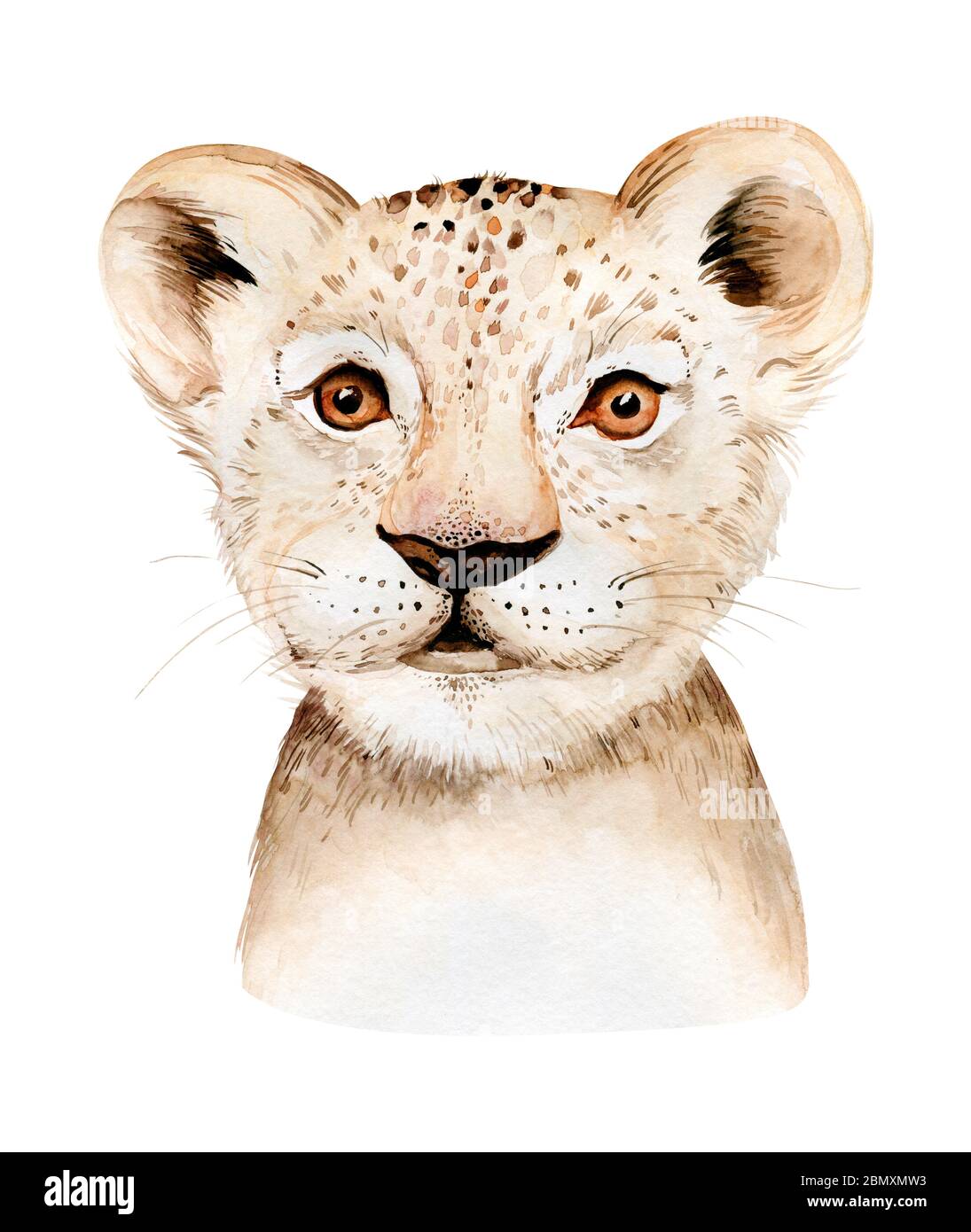 Africa watercolor savanna lion, animal illustration. African Safari ...