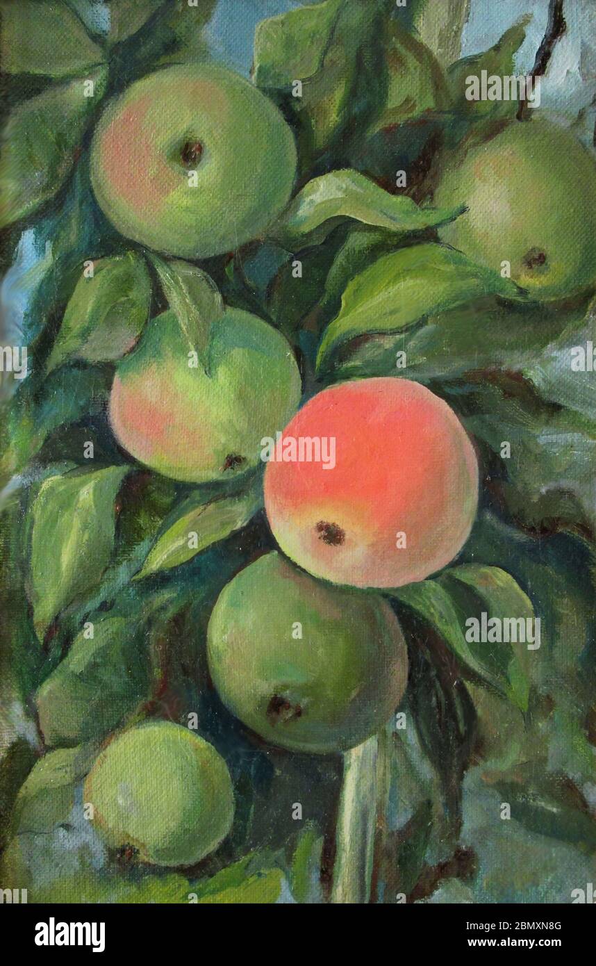 Apples branch drawing illustration hi-res stock photography and images ...