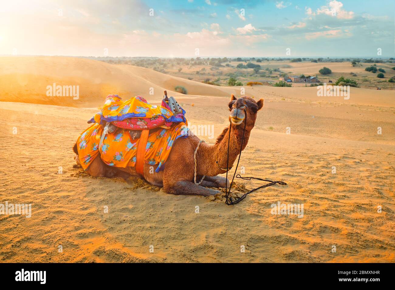 The thar desert, india hi-res stock photography and images - Alamy