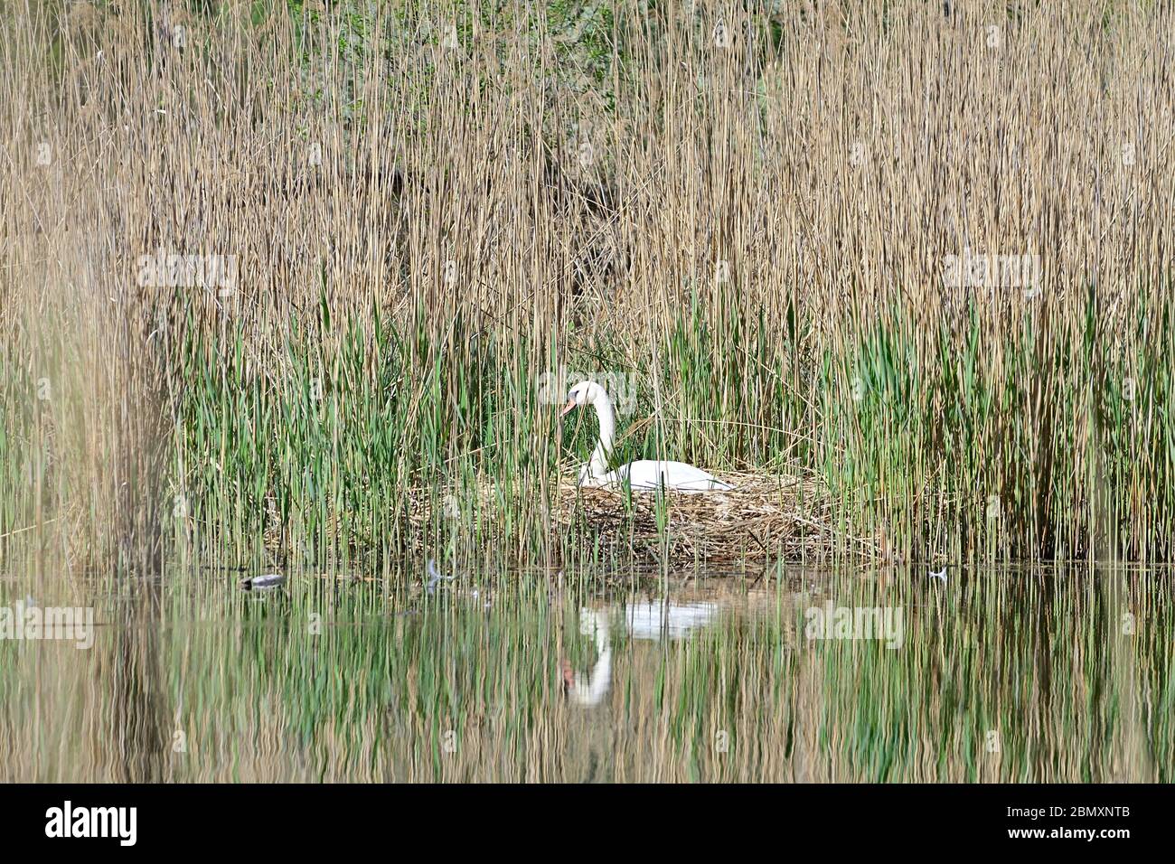 Nationalpark water hi-res stock photography and images - Alamy