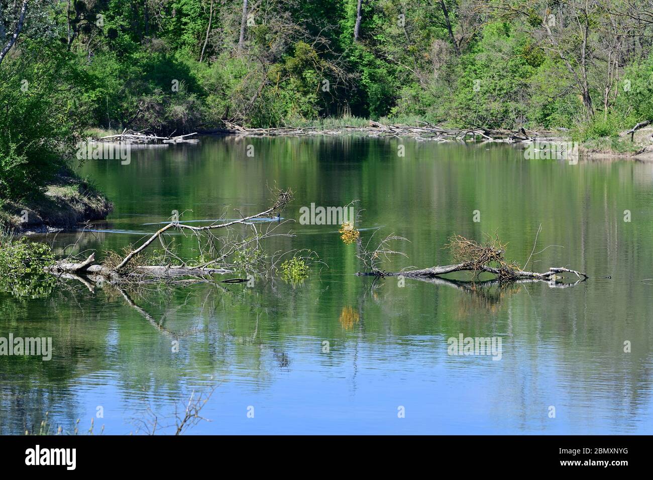 Vienna, Austria. Nationalpark Donau-Auen, the Lobau Stock Photo - Alamy