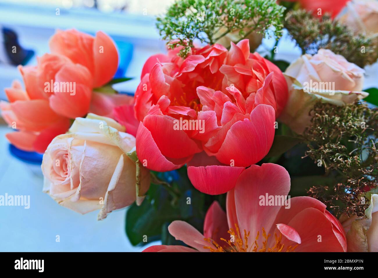 Peony display hi-res stock photography and images - Alamy